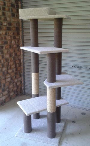 Cat Lovers Scratchers | The scratchers your cats will love too