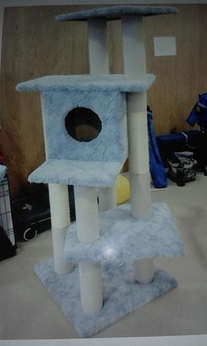 Cat Lovers Scratchers | The scratchers your cats will love too