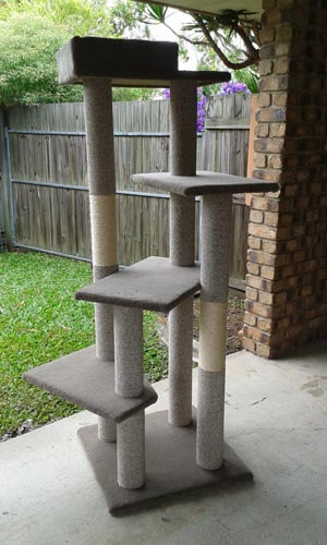 Cat Lovers Scratchers | The scratchers your cats will love too