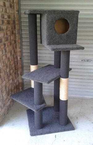 Cat Lovers Scratchers | The scratchers your cats will love too